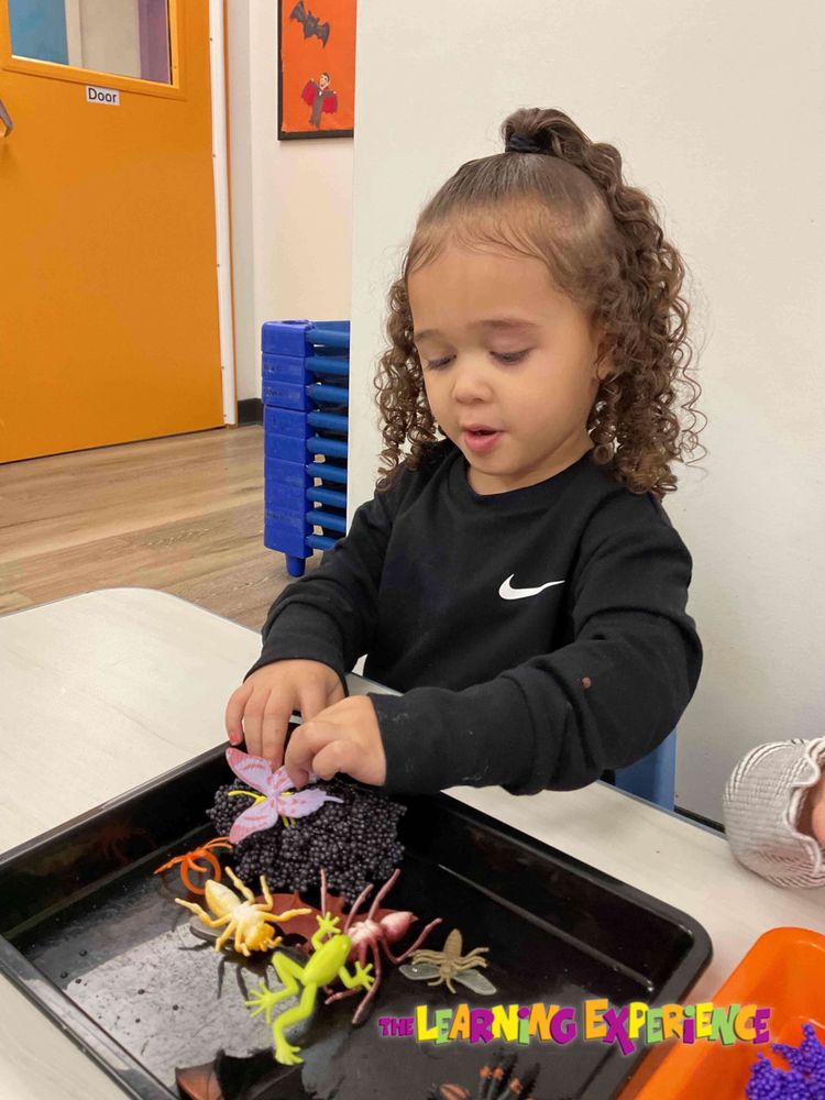 THE LEARNING EXPERIENCE - CHELMSFORD - Updated December 2025 - 10 ...