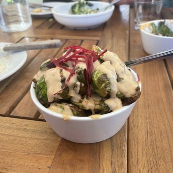 BACARI PDR - Updated May 2024 - 2134 Photos & 2121 Reviews - 6805 Vista ...