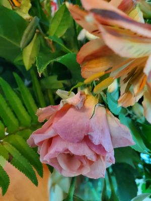 BLOOM BAR & - Updated May 2024 - 110 Photos & 51 Reviews - 205 W ...