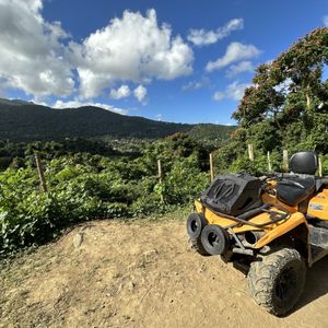 CARABALI RAINFOREST PARK - 1008 Photos & 502 Reviews - Road 3 Km 32.4 ...