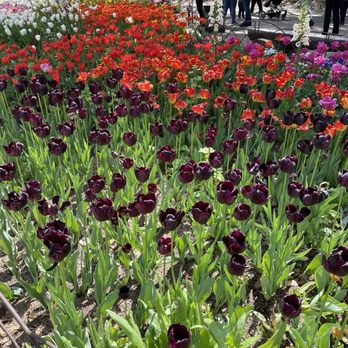 DESCANSO GARDENS - Updated August 2024 - 10556 Photos & 1918 Reviews ...