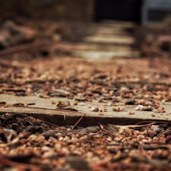 DOUBLETREE RANCH PARK - Updated July 2024 - 52 Photos & 12 Reviews ...