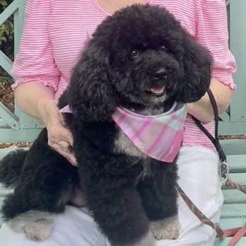 RUFF HOUSING CARY - Updated December 2025 - 10 Photos & 17 Reviews ...