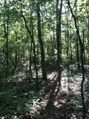 BRIGHTON STATE RECREATION AREA - Updated August 2024 - 30 Photos & 23 ...