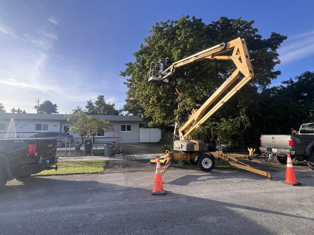 ONTOP TREE SERVICE - Updated January 2026 - 10 Photos - Miami, Florida ...