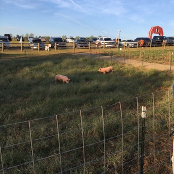 THE FARM - Updated December 2025 - 62 Photos - 769 Bray Ford Rd, Dobson ...