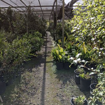 BONGARD’S TREESCAPE NURSERY - Updated December 2025 - 29 Reviews ...