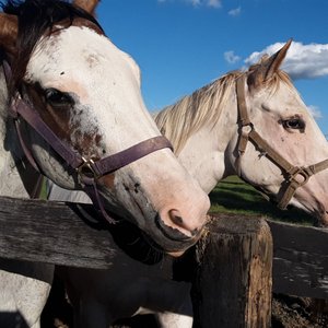 ECKERT’S ORCHARD - Updated September 2025 - 135 Photos & 64 Reviews ...