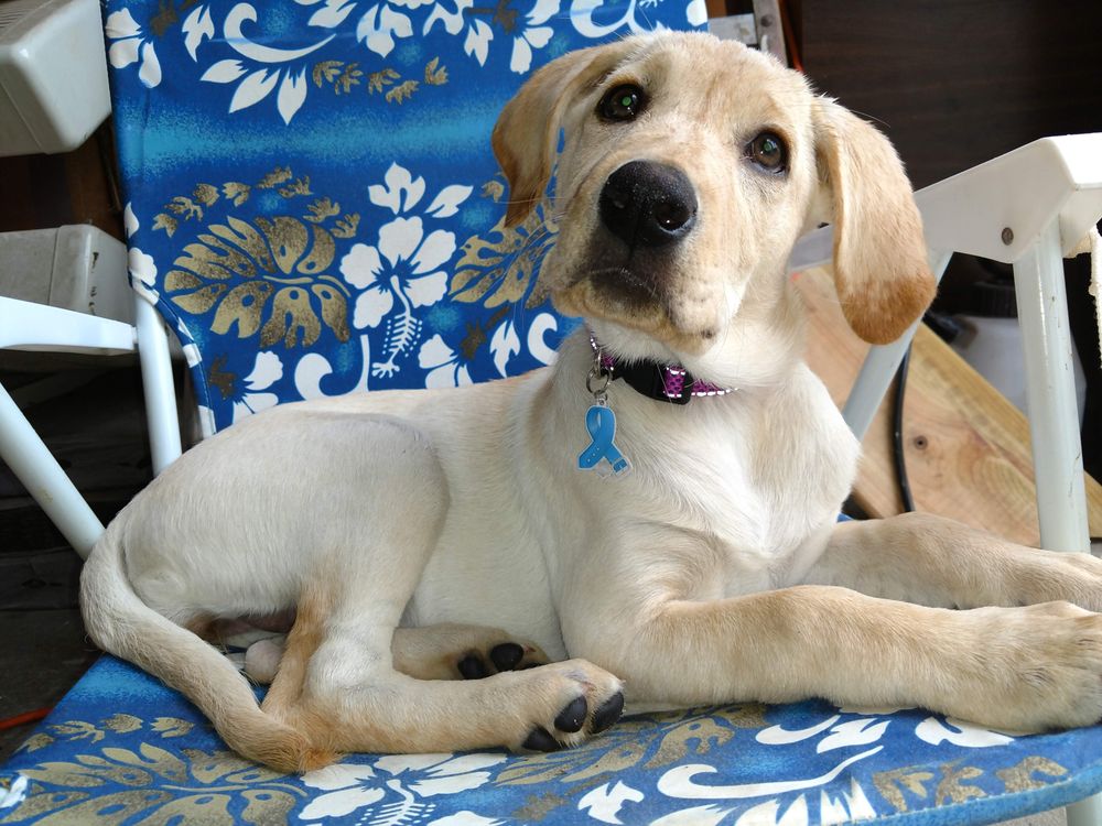 CG CONSTRUCTION - Updated March 2025 - Dublin, Virginia - General ...