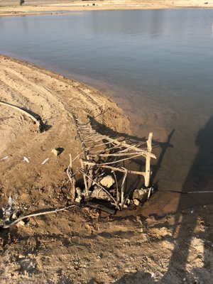 BEALS POINT CAMPGROUND - Updated August 2025 - 61 Photos & 36 Reviews ...