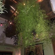 BAR SUZANNE - 93 Photos & 47 Reviews - 20 Avenue Duluth E, Montréal ...