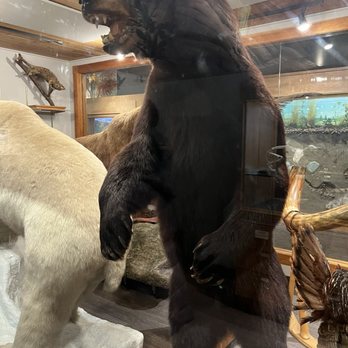 MUSEUM OF SCIENCE - Updated June 2025 - 1618 Photos & 828 Reviews - 1 ...