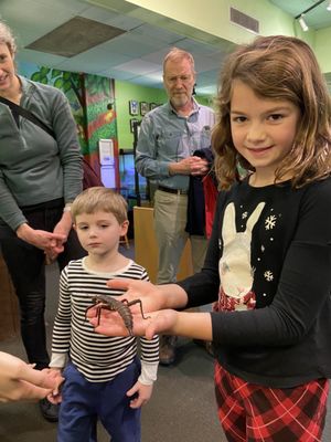 VICTORIA BUG ZOO - Updated June 2025 - 129 Photos & 121 Reviews - 631 ...