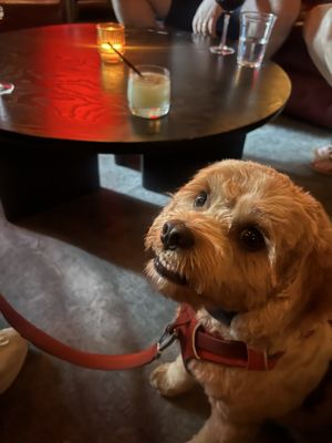 MOON ROOM - Updated August 2025 - 500 N West St, Raleigh, North ...