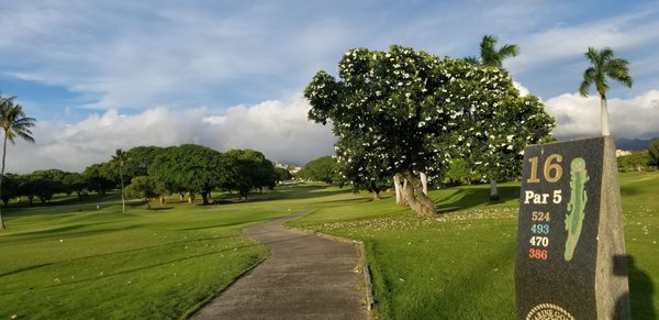 NAVY MARINE GOLF COURSE - 92 Photos & 54 Reviews - Golf - 943 ...