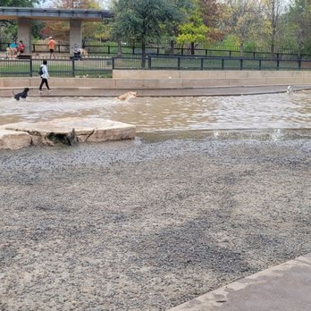 JOHNNY STEELE DOG PARK - Updated October 2025 - 178 Photos & 134 ...