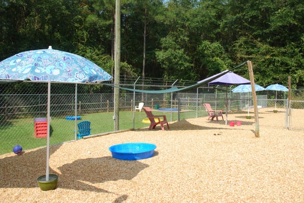 THE FAYETTEVILLE PET RESORT - Updated September 2025 - 18 Photos & 23 ...