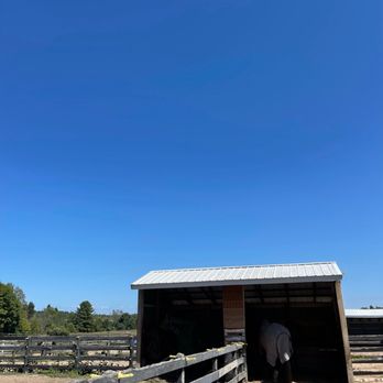 BLACK STAR FARMS - Updated August 2024 - 197 Photos & 153 Reviews ...