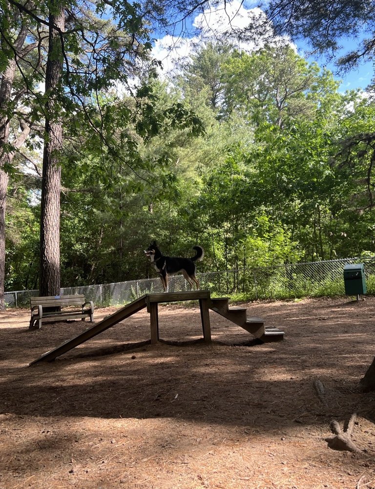 WESTFIELD DOG BARK - Updated May 2026 - 125 Lockhouse Rd, Westfield ...