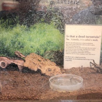 INSECTROPOLIS - Updated October 2025 - 101 Photos & 28 Reviews - 1761 ...