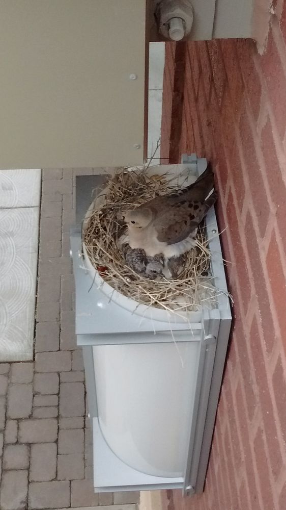 WASH YO WINDOW BROTHERS - Updated January 2026 - 14 Photos - Sparks ...