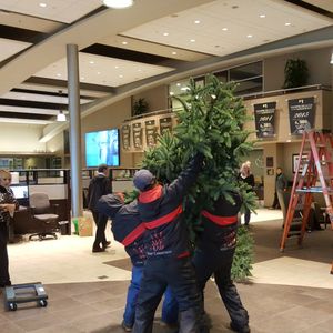 PLANTAMNESTY - Updated January 2025 - Seattle, Washington - Tree ...