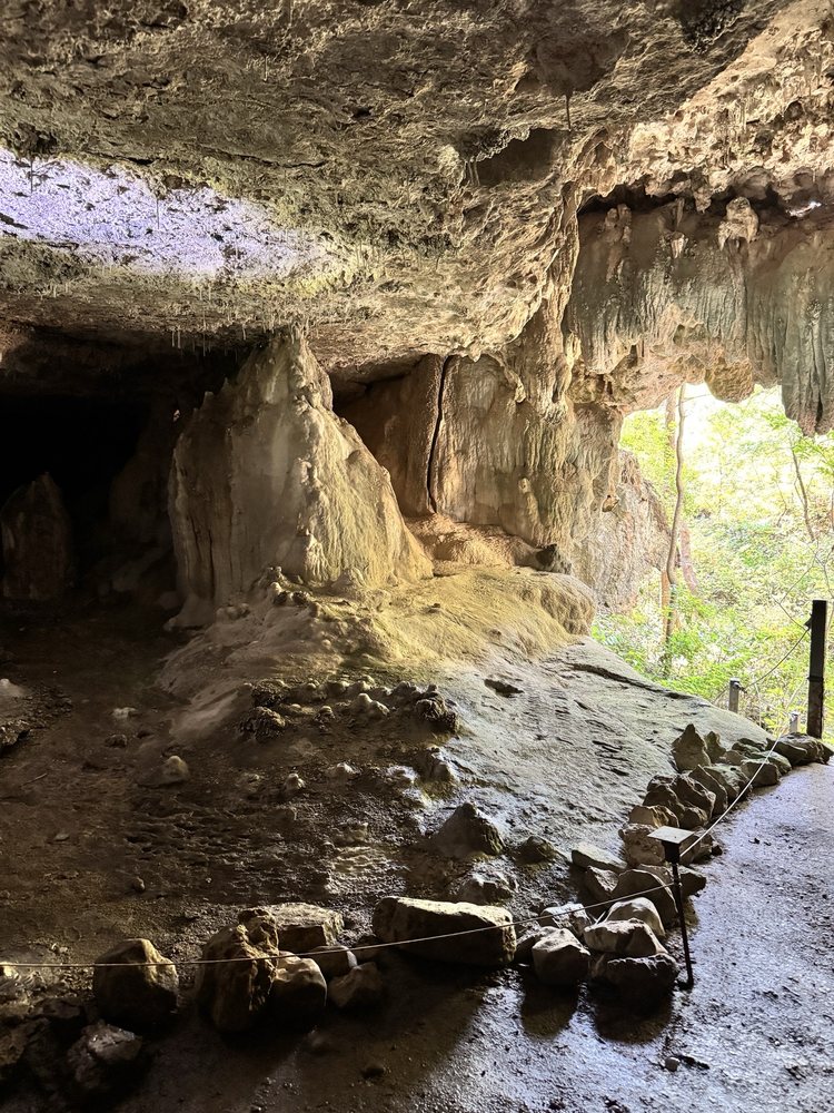 WESTCAVE OUTDOOR DISCOVERY CENTER - Updated April 2026 - 229 Photos ...