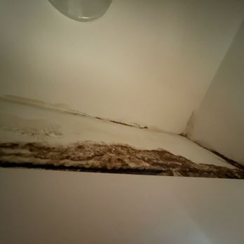 SOLIL MANAGEMENT - Updated September 2024 - 43 Photos & 165 Reviews ...