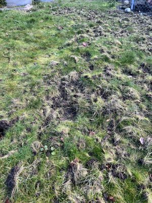 TRIGUARD PEST CONTROL - Updated December 2025 - 61 Photos & 416 Reviews ...