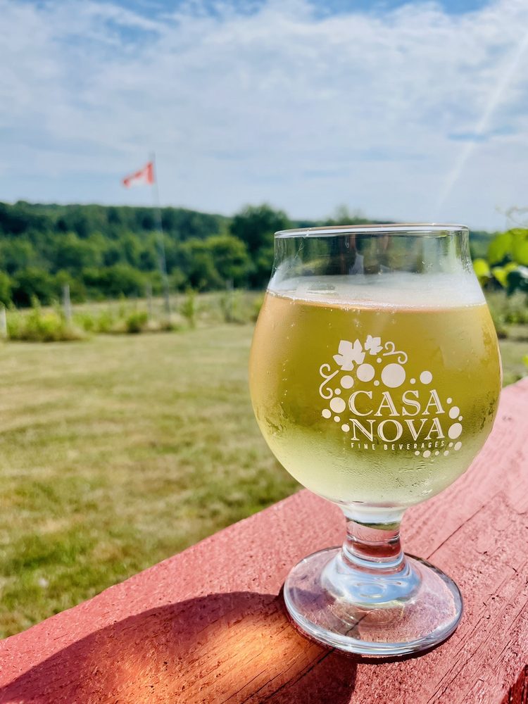 CASA NOVA FINE BEVERAGES - Updated January 2026 - 18 Photos - 2635 ...