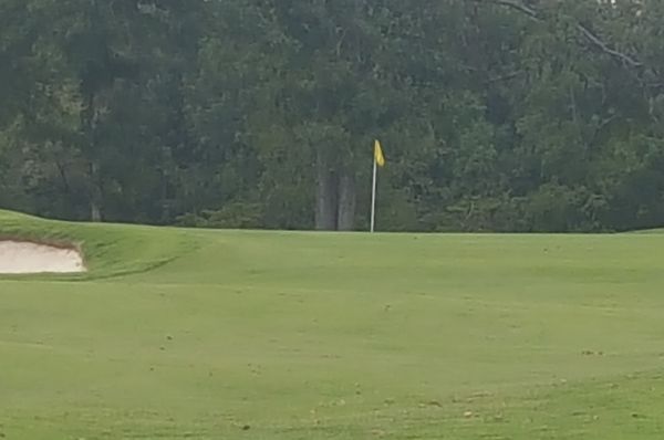 CHALLENGE GOLF CLUB - Updated March 2025 - 14 Photos - 1179 Challenge ...