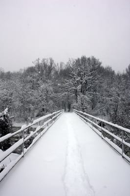 HOLMES RUN SCENIC EASEMENT - Updated May 2025 - 20 Photos - Holmes Run ...