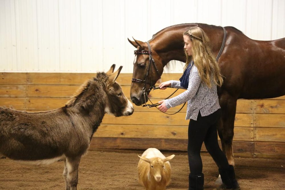 STRICKLAND STABLES - Updated October 2025 - 19514 Collins Rd, Marengo ...