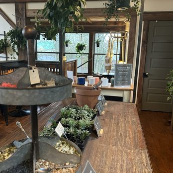 BLOSSOM CAFE - Updated December 2025 - 82 Photos & 35 Reviews - 4007 ...