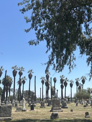 ANGELUS ROSEDALE CEMETERY - Updated November 2024 - 121 Photos & 46 ...