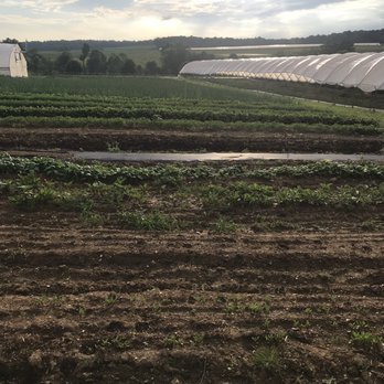 MAPLE ARCH FARM - Updated December 2025 - 14 Reviews - 3418 Limestone ...