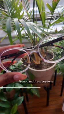 NOSTALGIC EYE CARE - Updated July 2025 - 35 Photos & 70 Reviews - 6656 ...