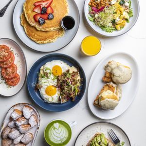 DISH SOCIETY - Updated January 2026 - 474 Photos & 264 Reviews - 1900 ...