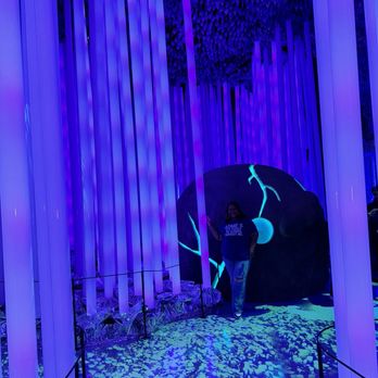 OTHER WORLD PHILADELPHIA - Updated December 2024 - 354 Photos & 37 ...