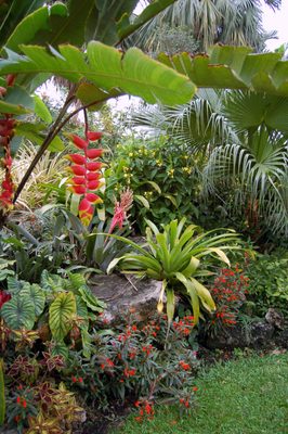 JESSE DURKO’S NURSERY - Updated December 2025 - 114 Photos & 46 Reviews ...