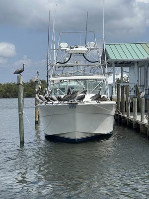 JUG CREEK MARINA & FISH HOUSE - Updated August 2025 - 49 Photos & 13 ...