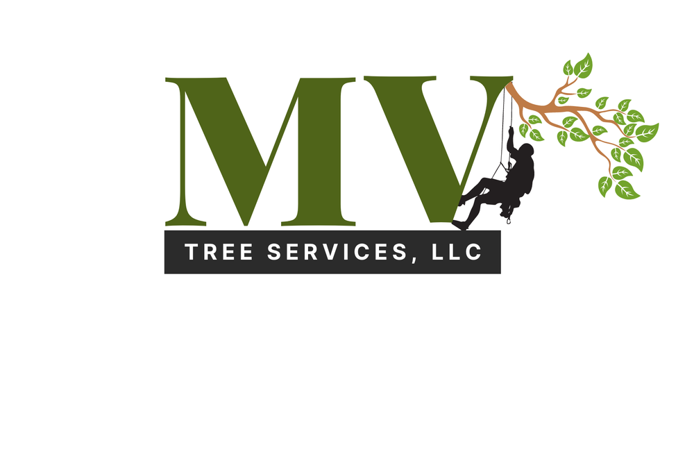 MV TREE SERVICES - Updated December 2025 - Toms River, New Jersey ...