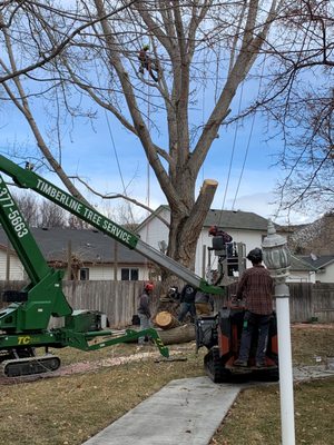 TIMBERLINE TREE SERVICE - Updated December 2025 - 43 Photos & 12 Reviews - Boise, Idaho - Tree ...