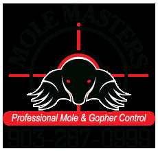 MOLE MASTERS - Updated October 2025 - 13350 State Hwy 155, Tyler, Texas ...
