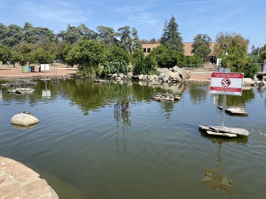 CSUN POND - Updated May 2024 - 328 Photos & 85 Reviews - 18111 Nordhoff ...