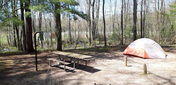 PINE LAKE USFS CAMPGROUND - Wellston, Michigan - Campgrounds - Phone ...