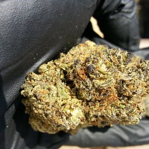 COOKIES NAPA DISPENSARY - Updated January 2026 - 70 Photos & 20 Reviews ...
