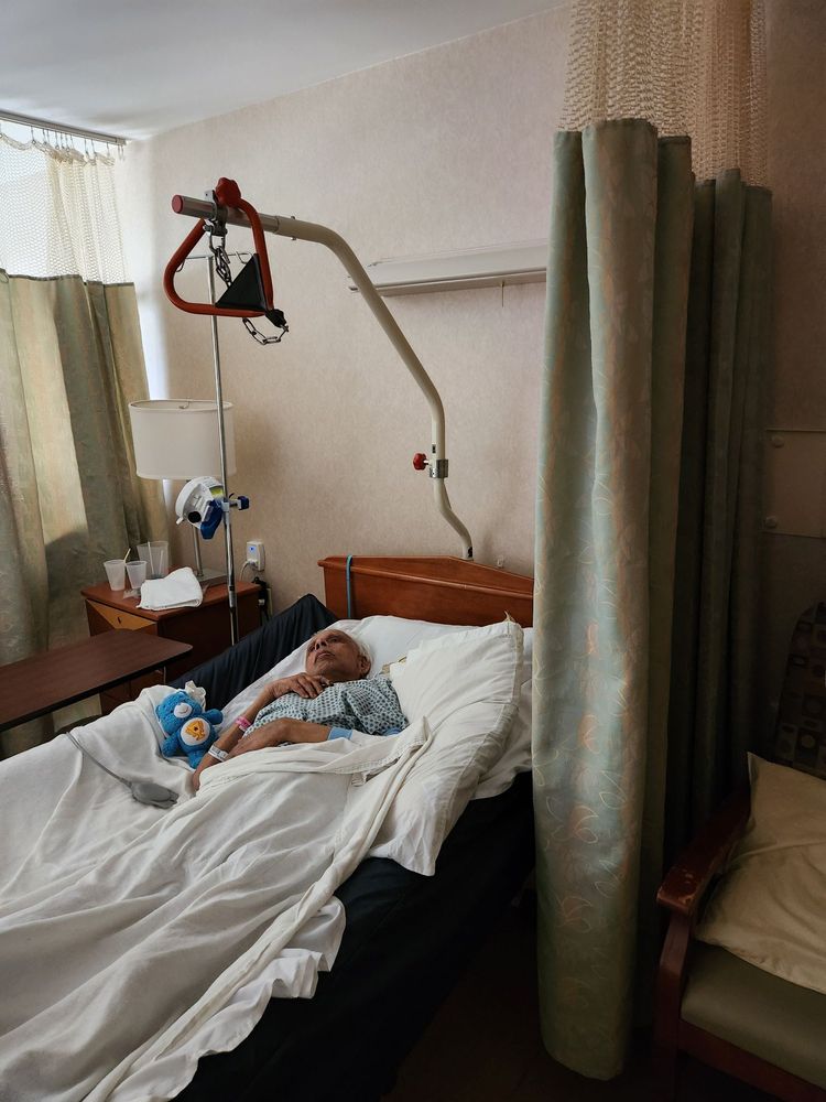 THE PEARL OF ELK GROVE - Updated December 2025 - 1920 E Nerge Rd, Elk ...