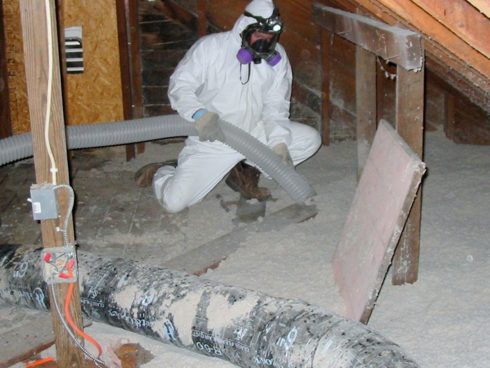 MADISON BAT REMOVAL - Updated January 2026 - 14 Photos - Madison ...