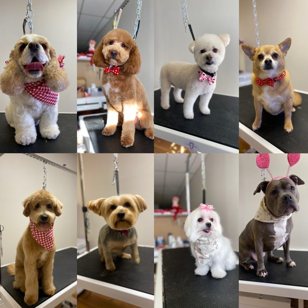 THE DOG PAWLOR - Updated December 2025 - 18 Railroad Ave, Chester, New ...